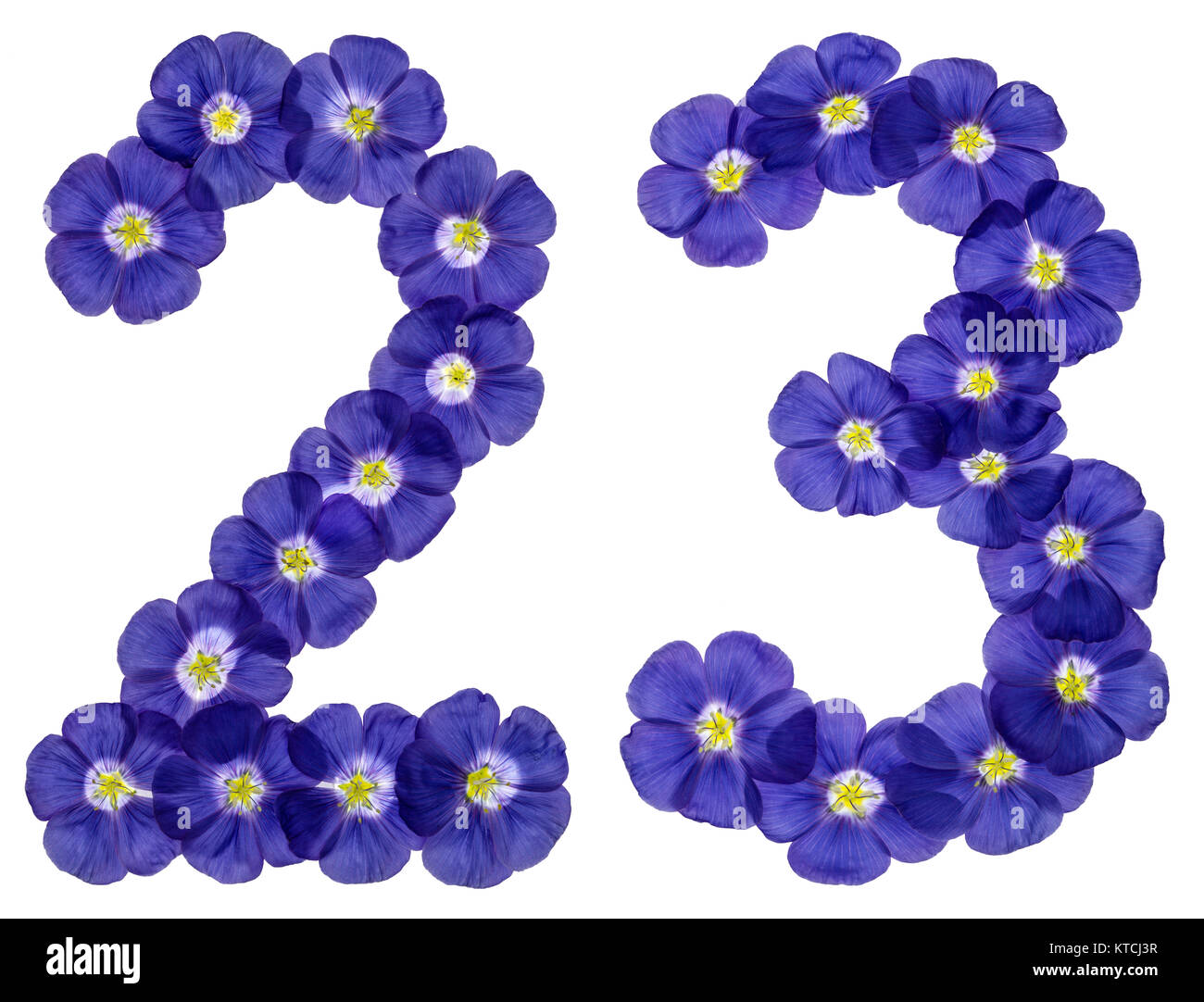 Arabic numeral 23, twenty three, from blue flowers of flax, isolated on ...