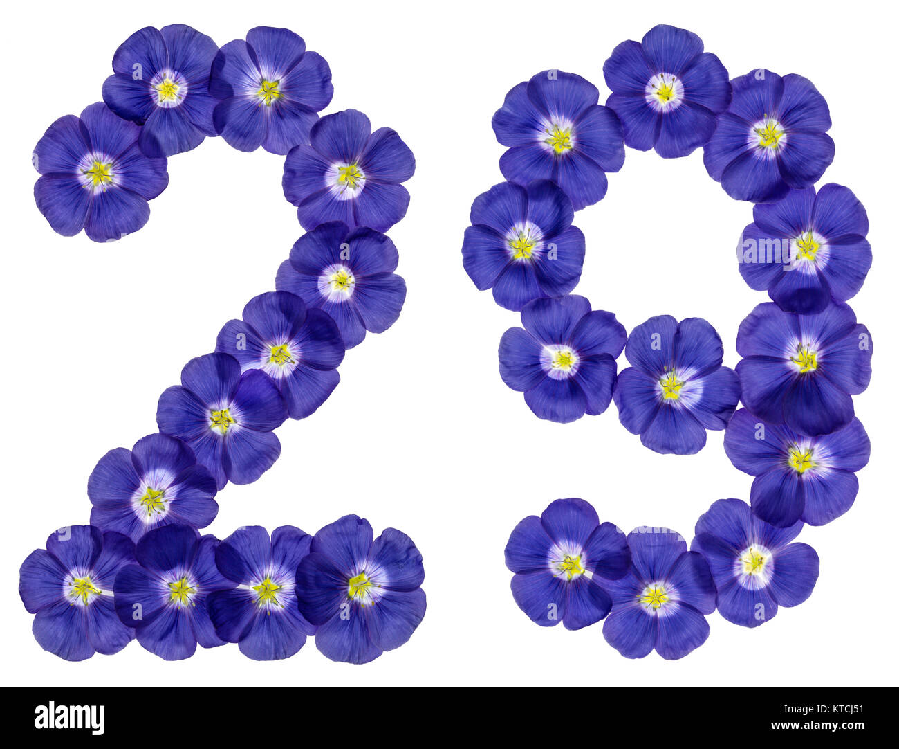 Arabic numeral 29, twenty nine, from blue flowers of flax, isolated on ...