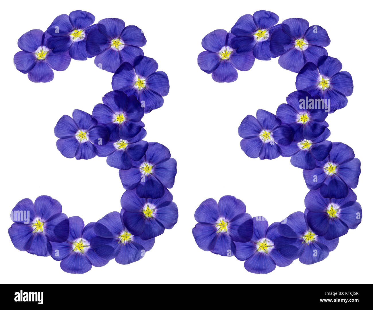 Arabic numeral 33, thirty three, from blue flowers of flax, isolated on ...