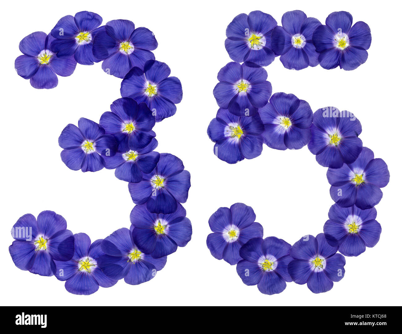 Arabic numeral 35, thirty five, from blue flowers of flax, isolated on ...