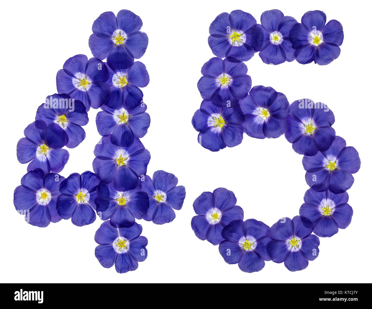 Arabic numeral 45, forty five, from blue flowers of flax, isolated on ...