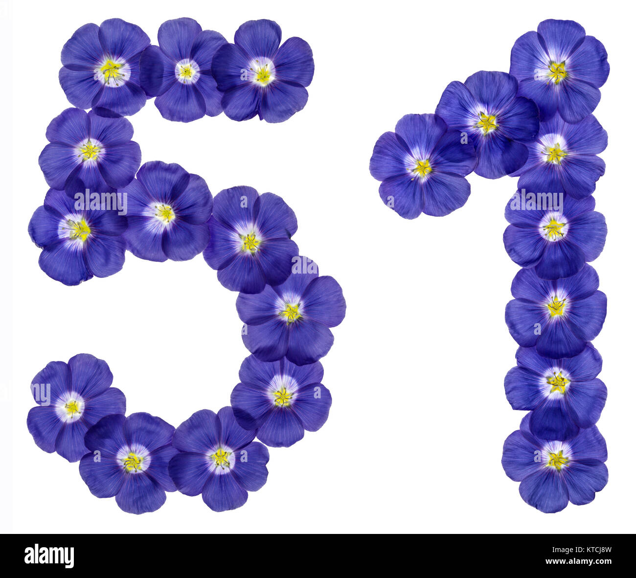 Arabic numeral 51, fifty one, from blue flowers of flax, isolated on ...