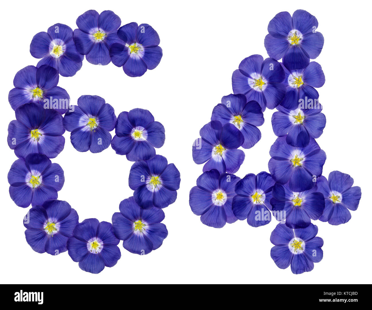 Arabic numeral 64, sixty four, from blue flowers of flax, isolated on ...