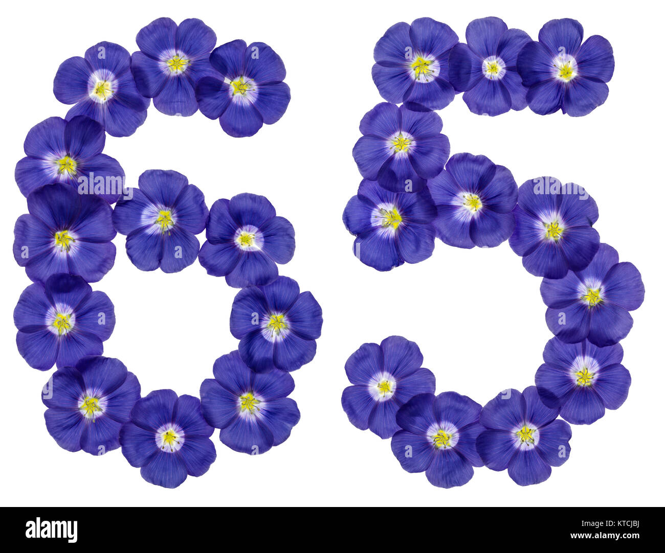 Arabic numeral 65, sixty five, from blue flowers of flax, isolated on ...