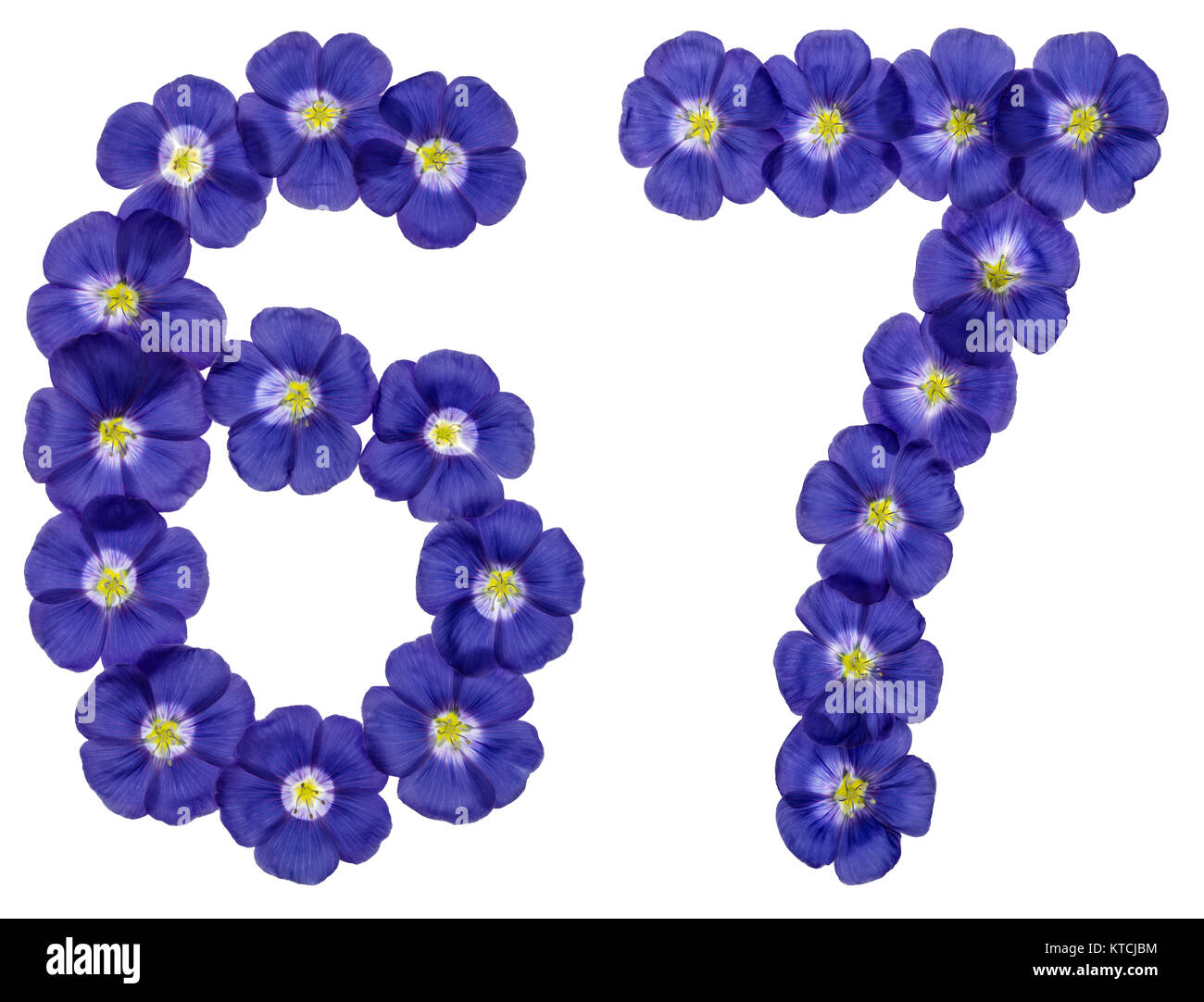 Arabic numeral 67, sixty seven, from blue flowers of flax, isolated on ...