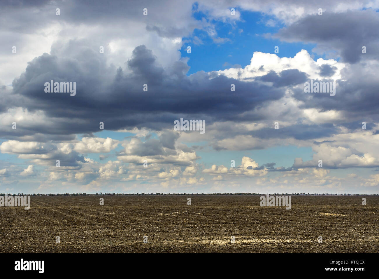 Weather change over wheat field field on a dark cloudy sky, weather ...