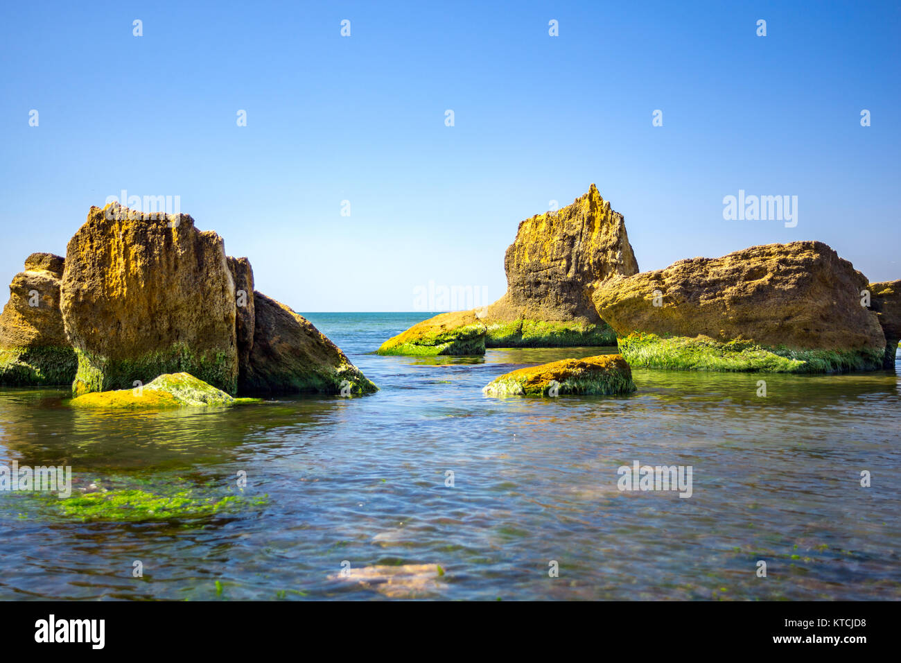 Coastal stone with green algae. Stone covered with green algae Stock ...