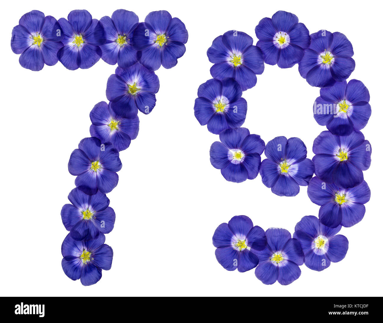 Arabic numeral 79, seventy nine, from blue flowers of flax, isolated on ...