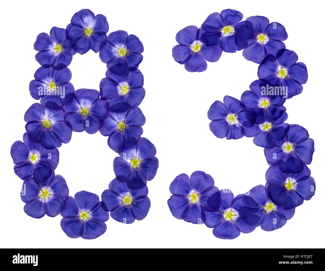 Arabic numeral 83, eighty three, from blue flowers of flax, isolated on ...