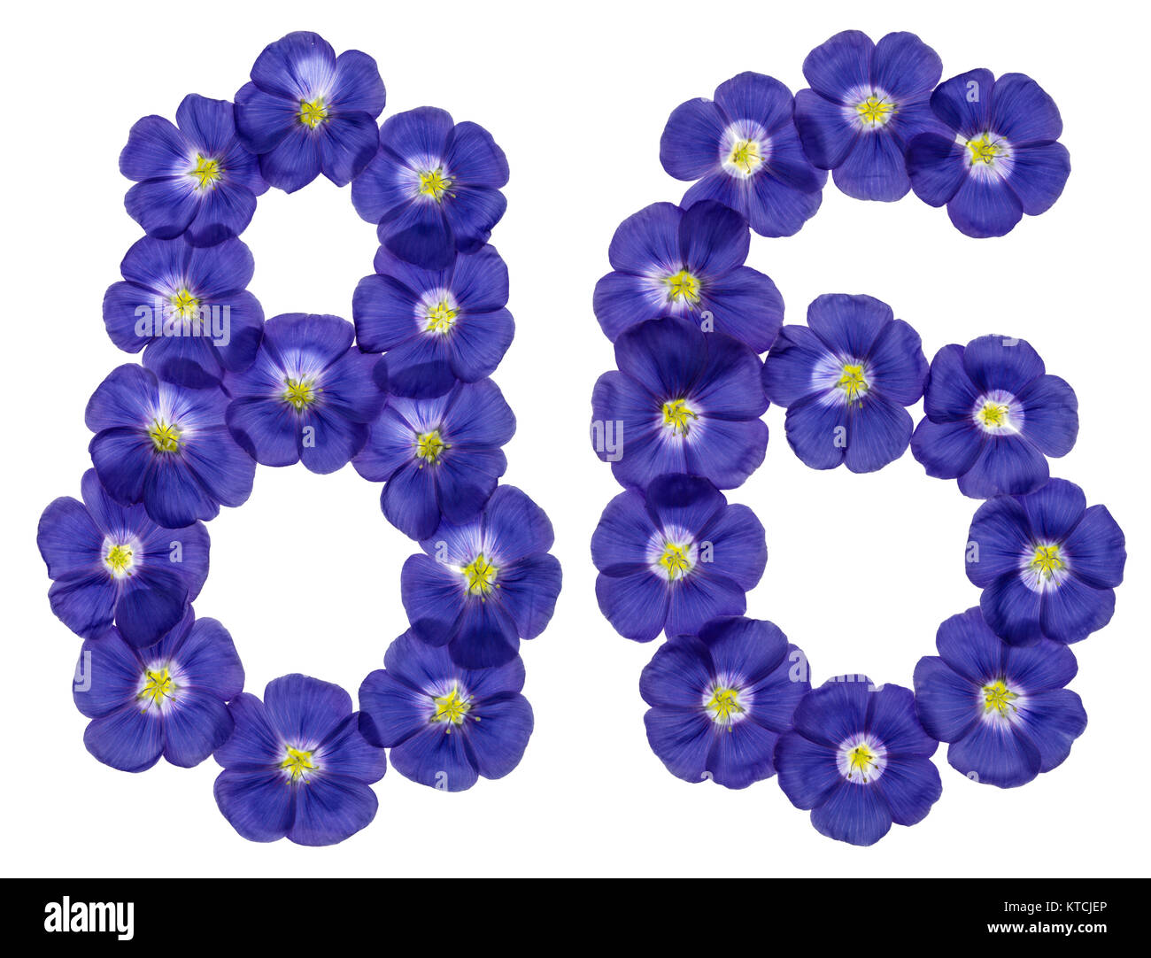 Arabic numeral 86, eighty six, from blue flowers of flax, isolated on ...