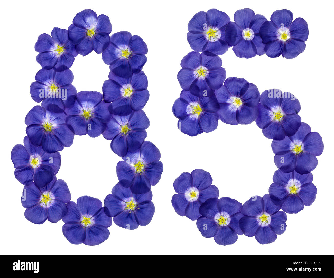 Arabic numeral 85, eighty five, from blue flowers of flax, isolated on ...