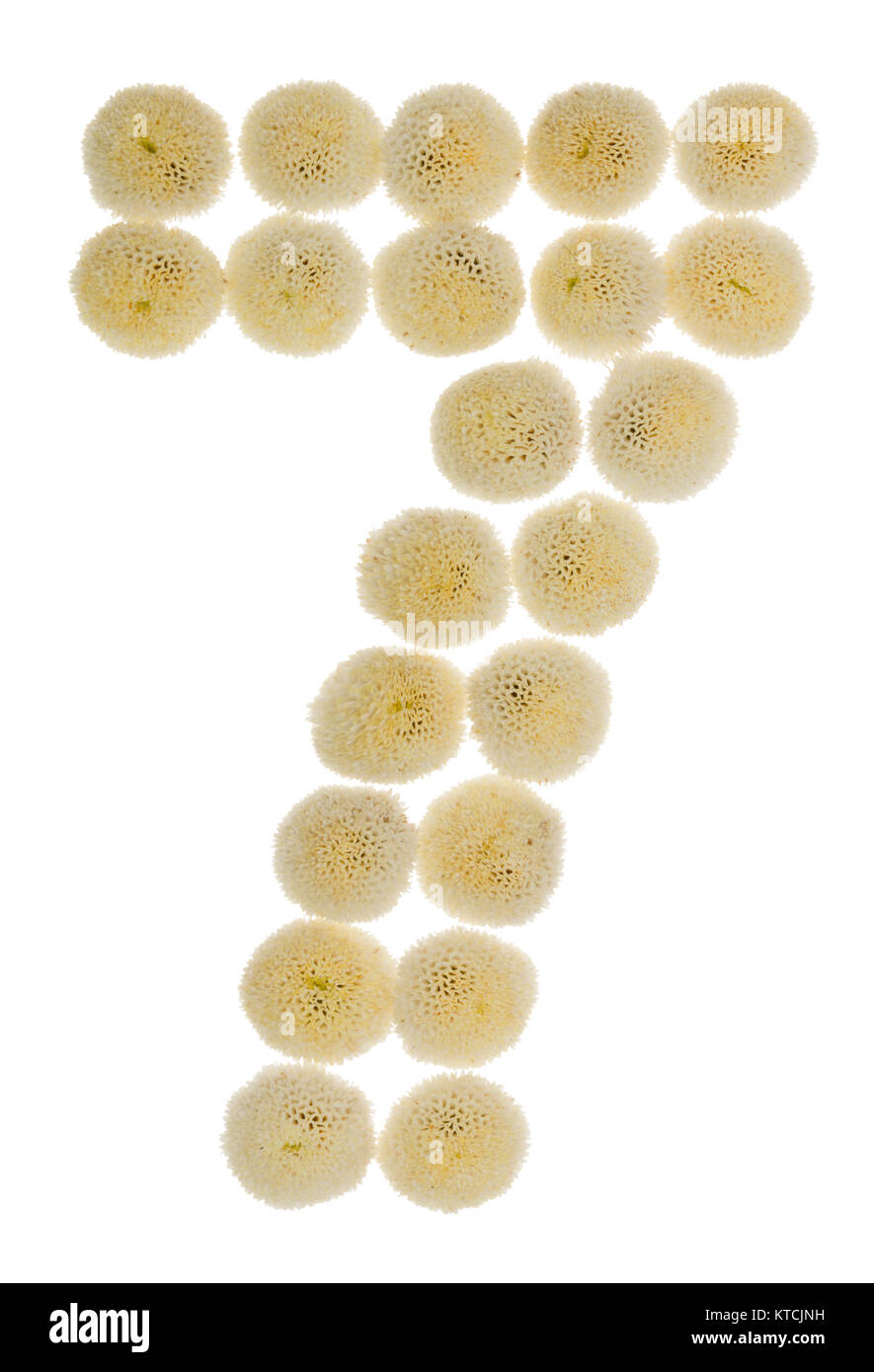 Number 7 flower hi-res stock photography and images - Alamy