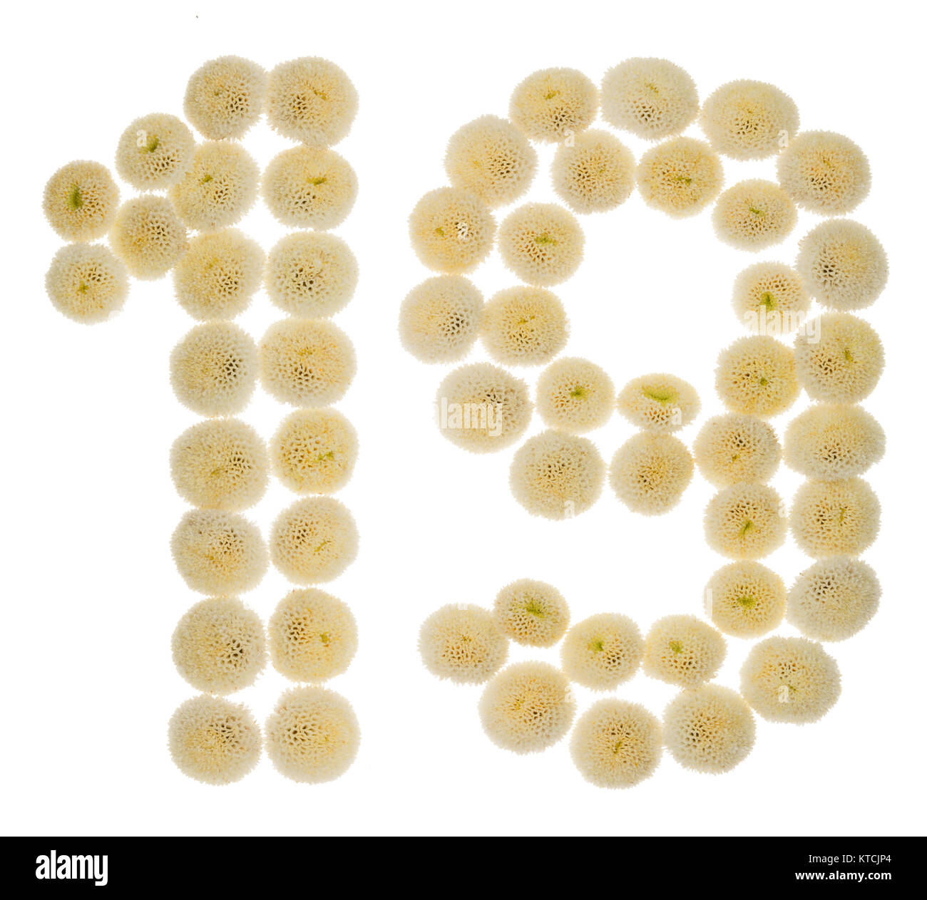 Arabic numeral 19, nineteen, from cream flowers of chrysanthemum ...