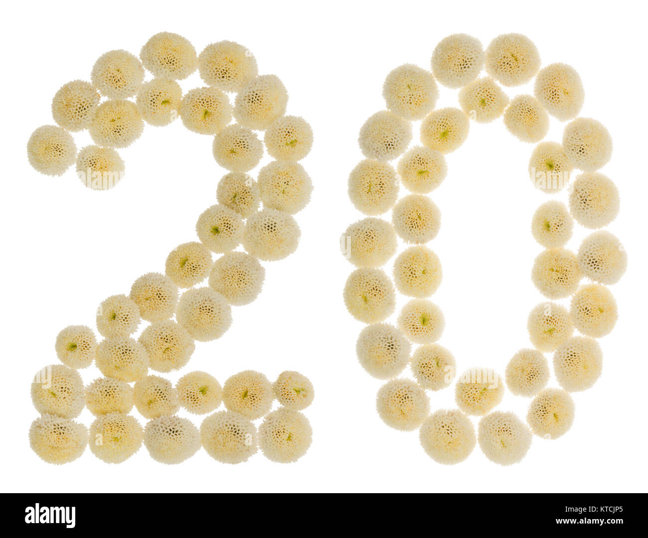 Arabic numeral 20, twenty, from cream flowers of chrysanthemum ... Arabic numeral 20, twenty, from cream flowers of chrysanthemum ...