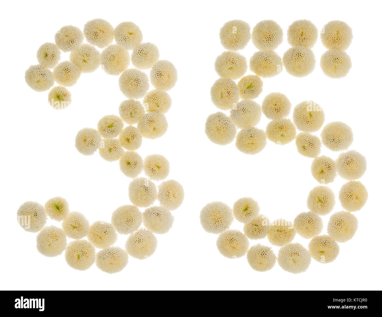 Arabic numeral 35, thirty five, from cream flowers of chrysanthemum ...