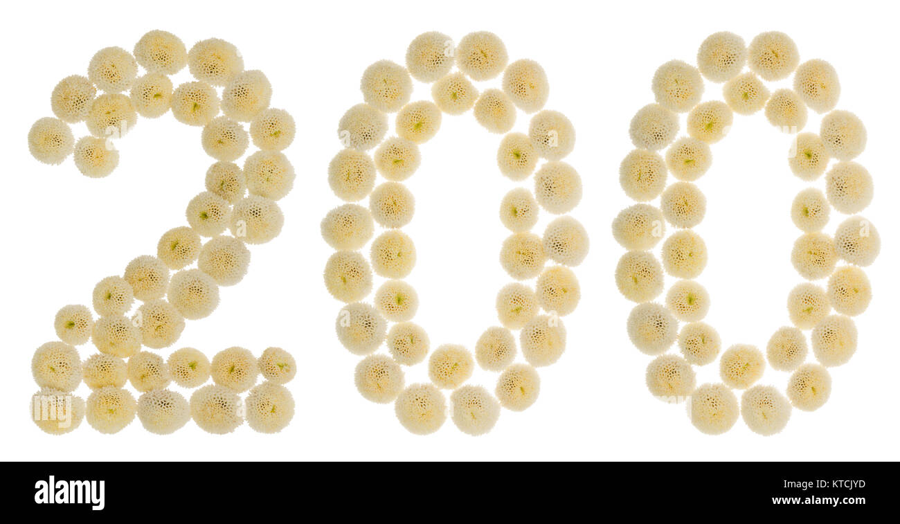 Arabic numeral 200, two hundred, from cream flowers of chrysanthemum ... Arabic numeral 200, two hundred, from cream flowers of chrysanthemum ...