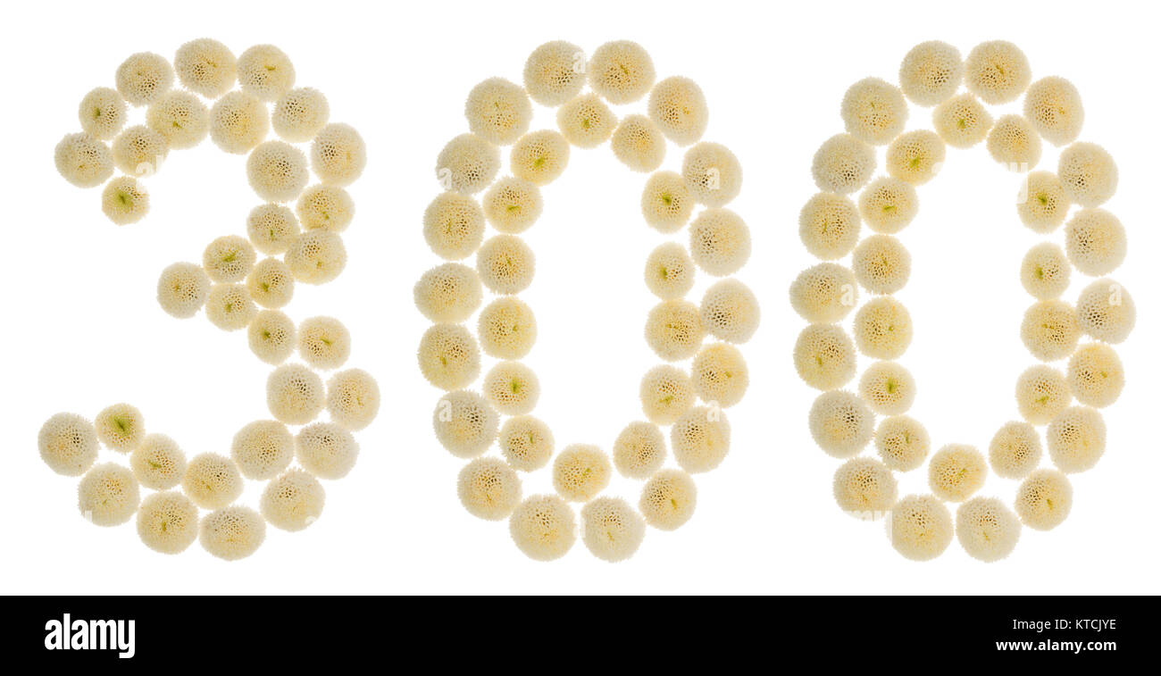 Arabic numeral 300, three hundred, from cream flowers of chrysanthemum ...