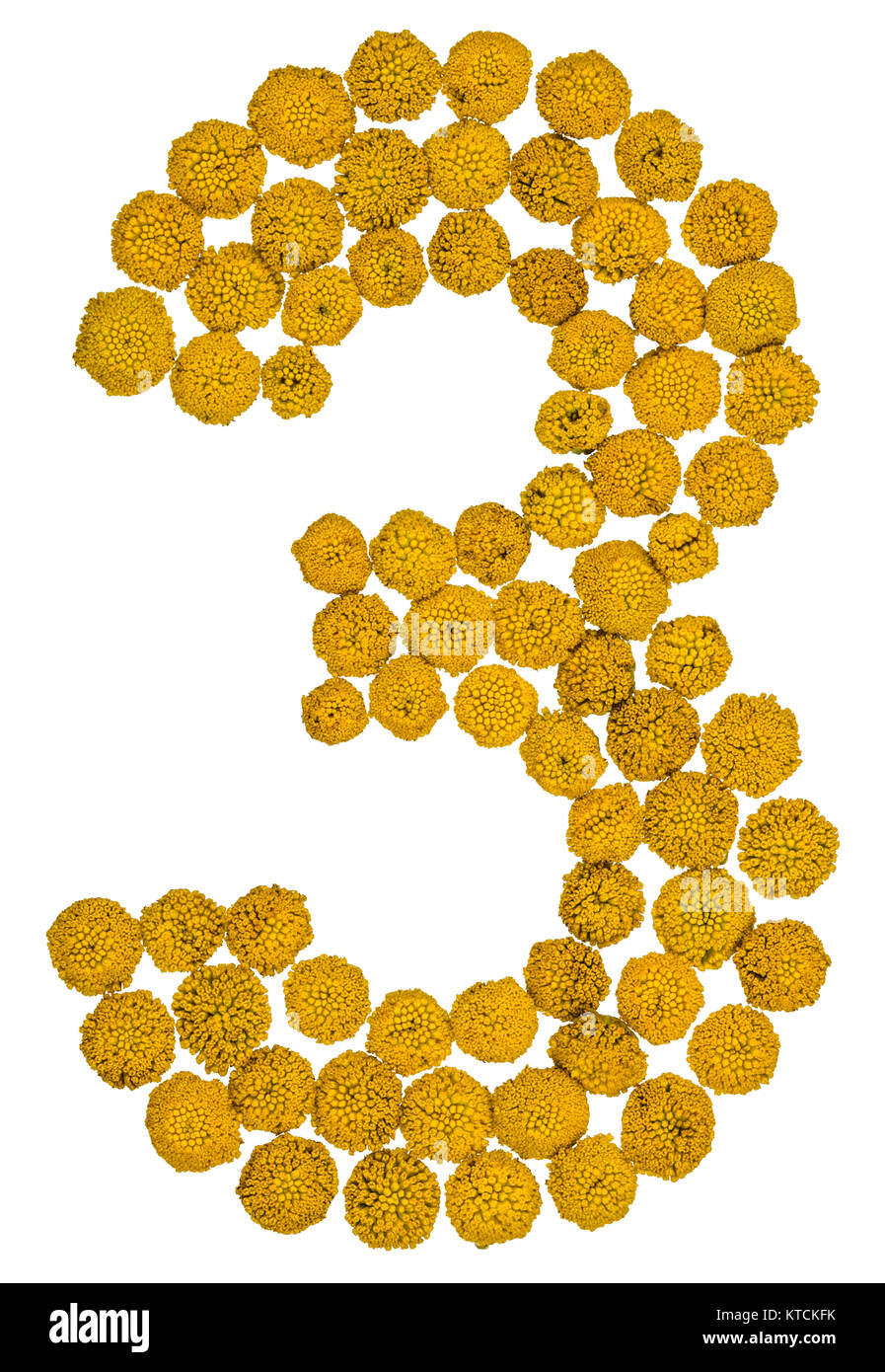 Arabic numeral 3, three, from yellow flowers of tansy, isolated on ...