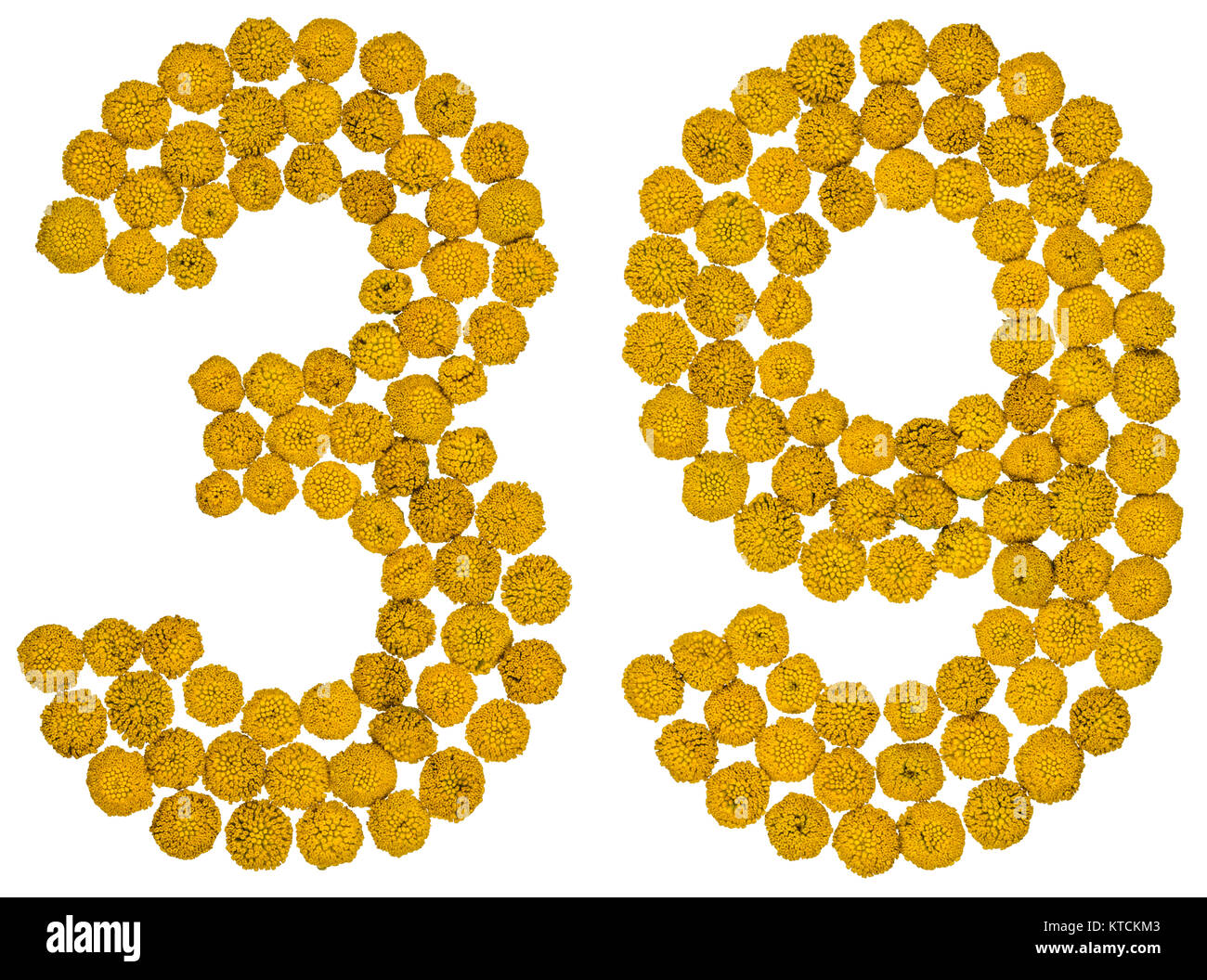 Arabic numeral 39, thirty nine, from yellow flowers of tansy, isolated ...
