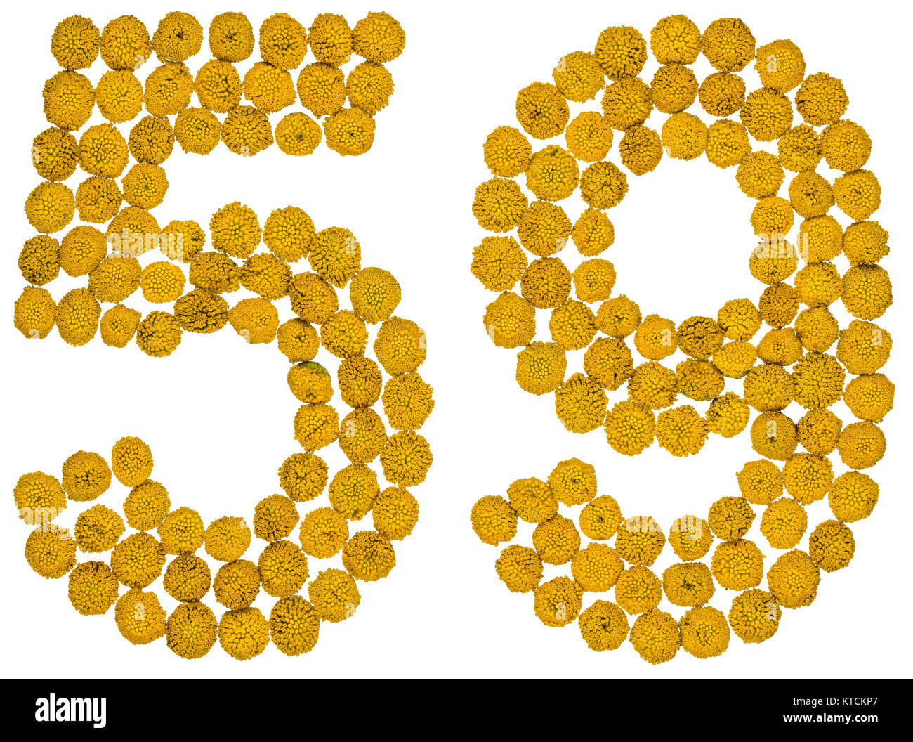 Arabic numeral 59, fifty nine, from yellow flowers of tansy, isolated ...