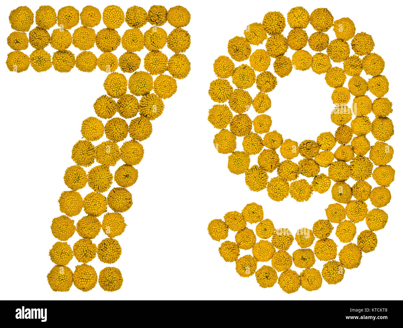 Arabic numeral 79, seventy nine, from yellow flowers of tansy, isolated ...