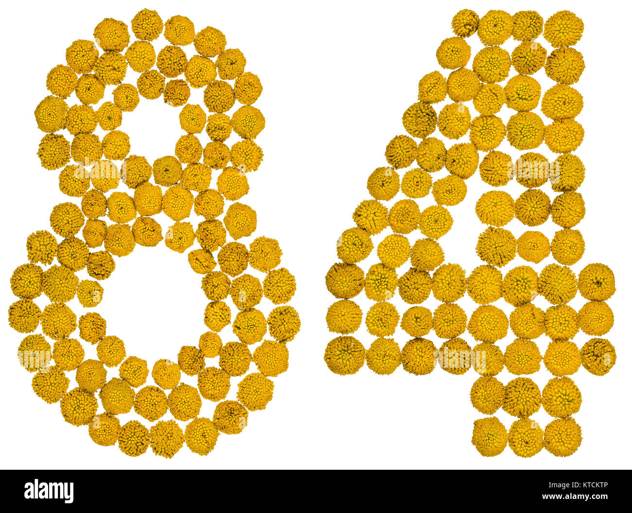 Arabic numeral 84, eighty four, from yellow flowers of tansy, isolated ...