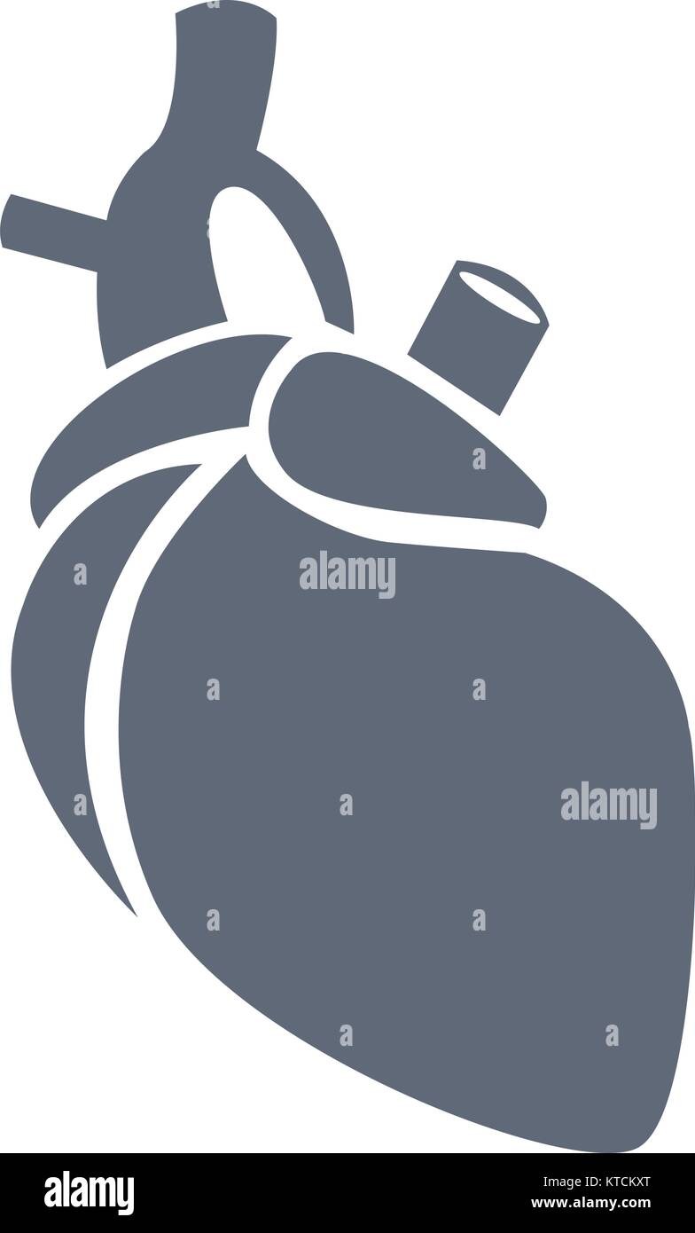 Human heart symbol Stock Vector Image & Art - Alamy