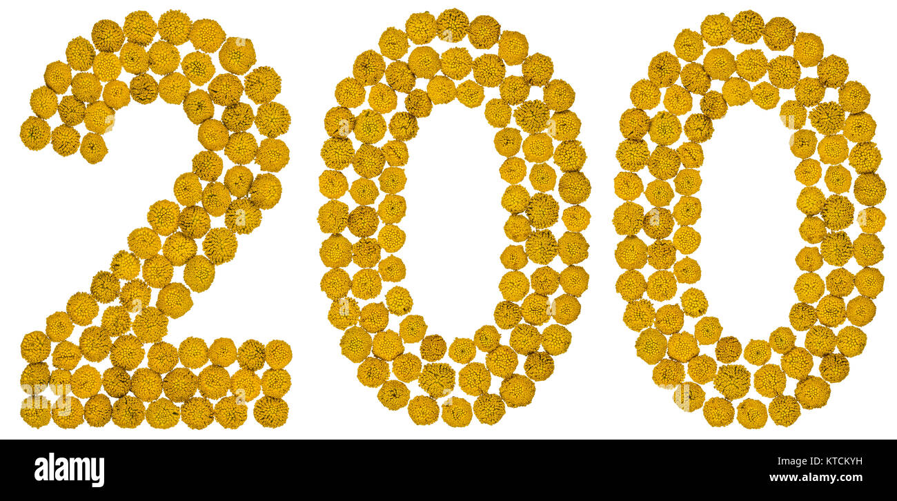 Arabic numeral 200, two hundred, from yellow flowers of tansy, isolated ...