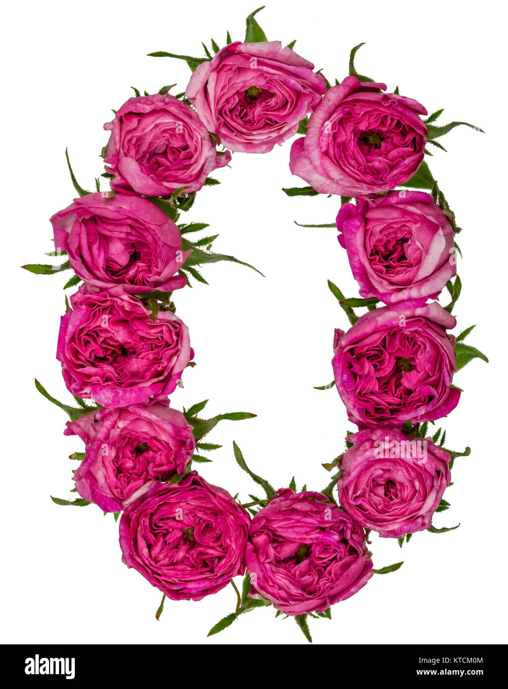 Arabic numeral 0, zero, from red flowers of rose, isolated on white ...