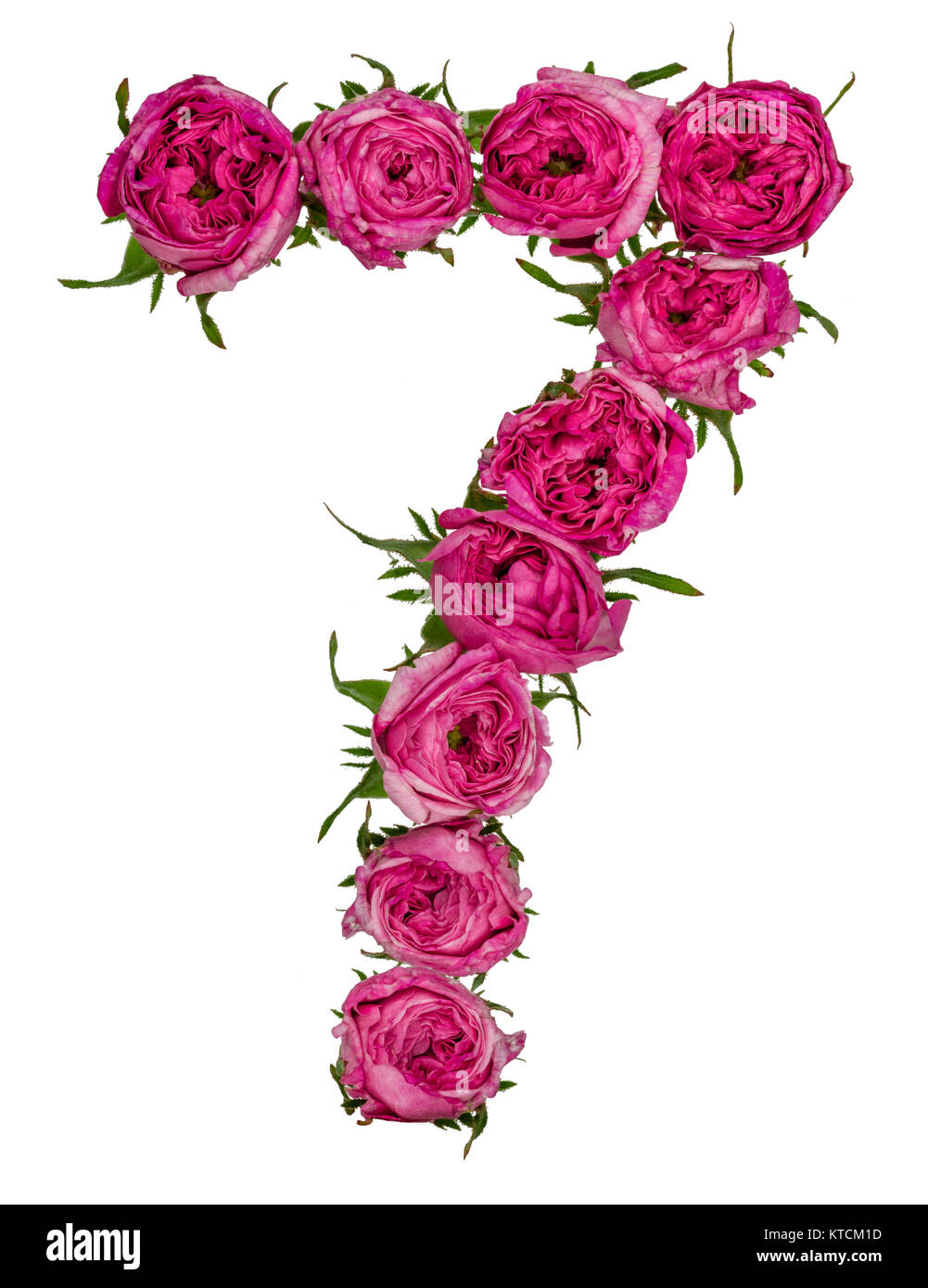 Arabic numeral 7, seven, from red flowers of rose, isolated on white ...