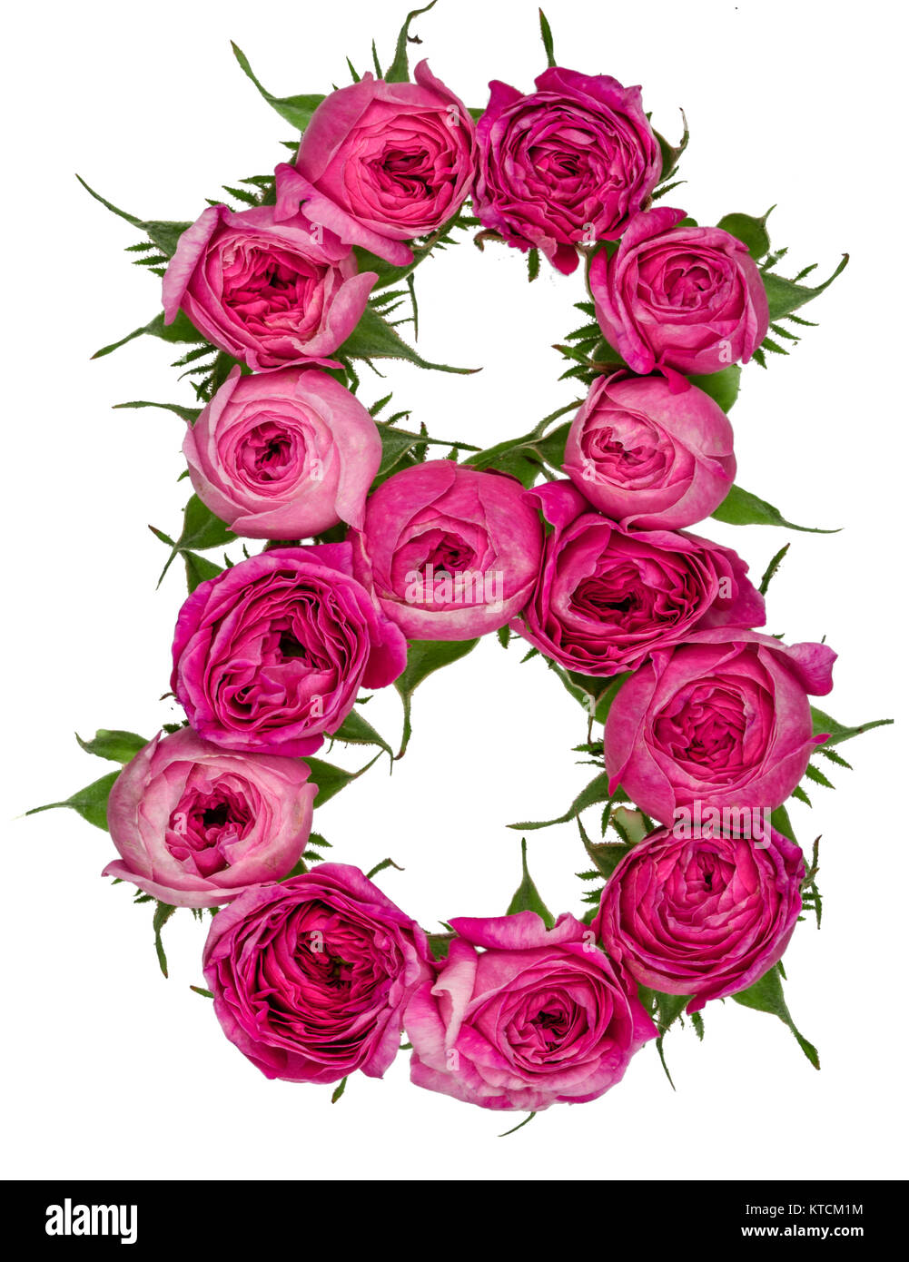 Arabic numeral 8, eight, from red flowers of rose, isolated on white ...
