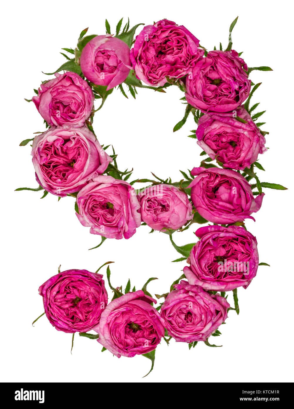 Arabic numeral 9, nine, from red flowers of rose, isolated on white ...