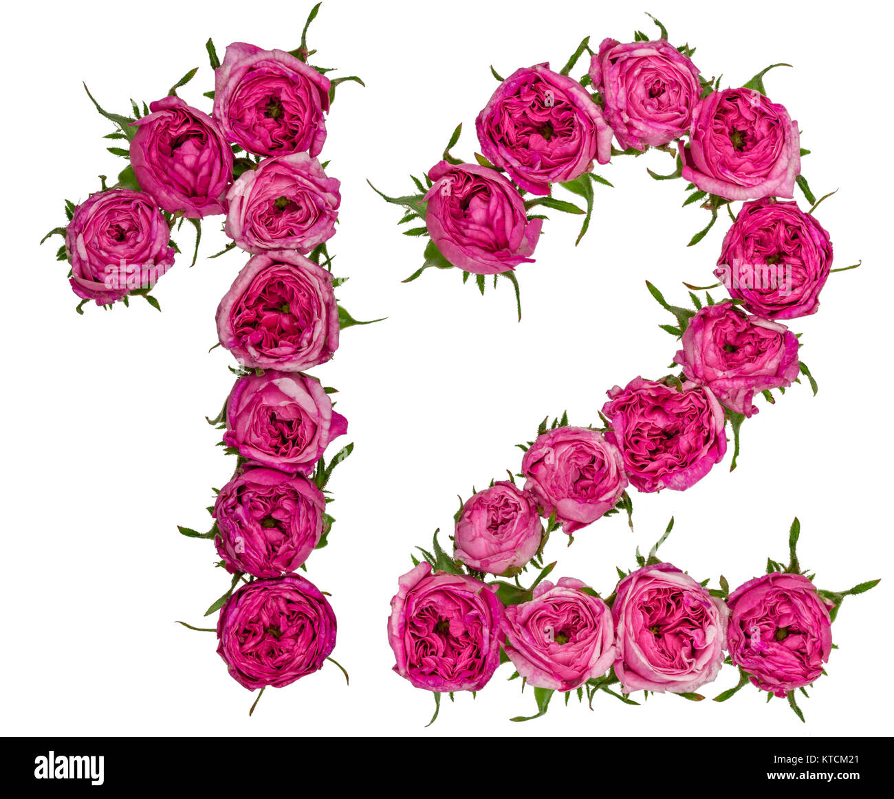 Arabic numeral 12, twelve, from red flowers of rose, isolated on white ...