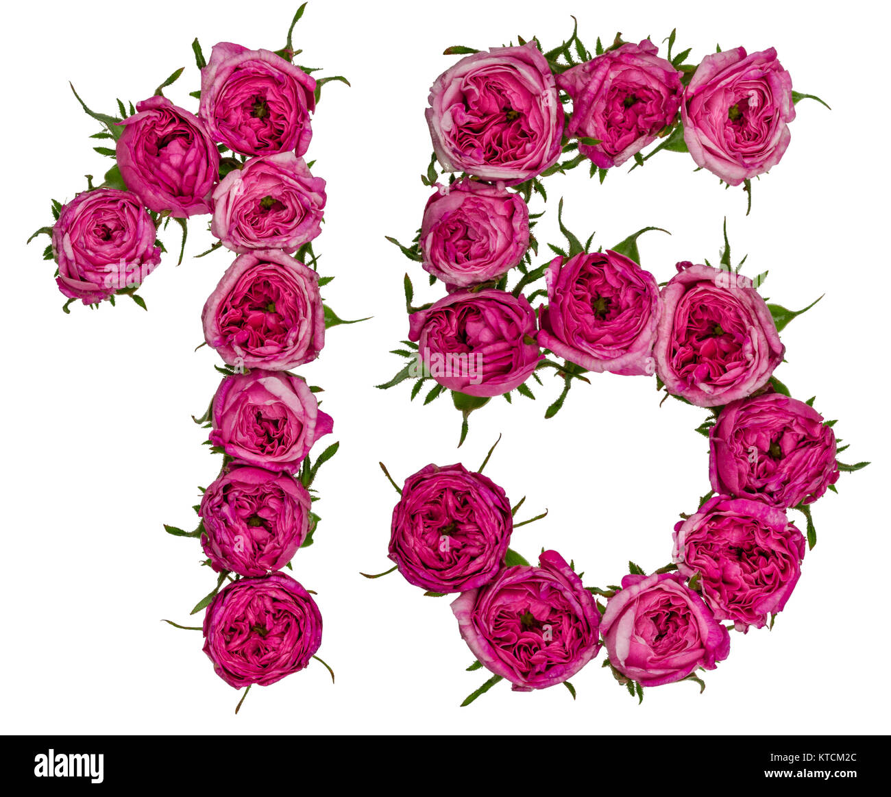Arabic numeral 15, fifteen, from red flowers of rose, isolated on white ...