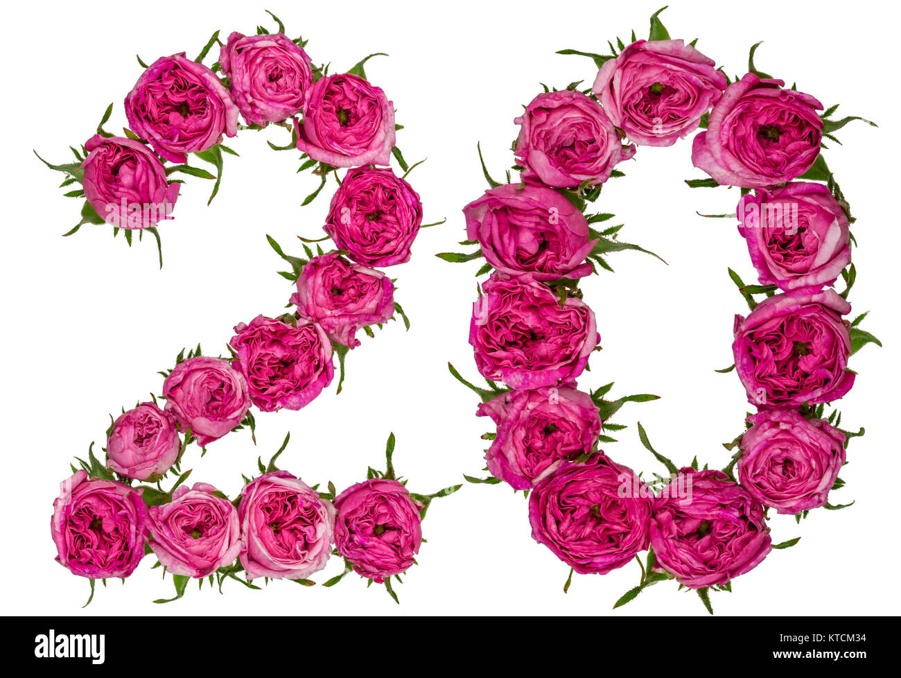 Arabic numeral 20, twenty, from red flowers of rose, isolated on white ...