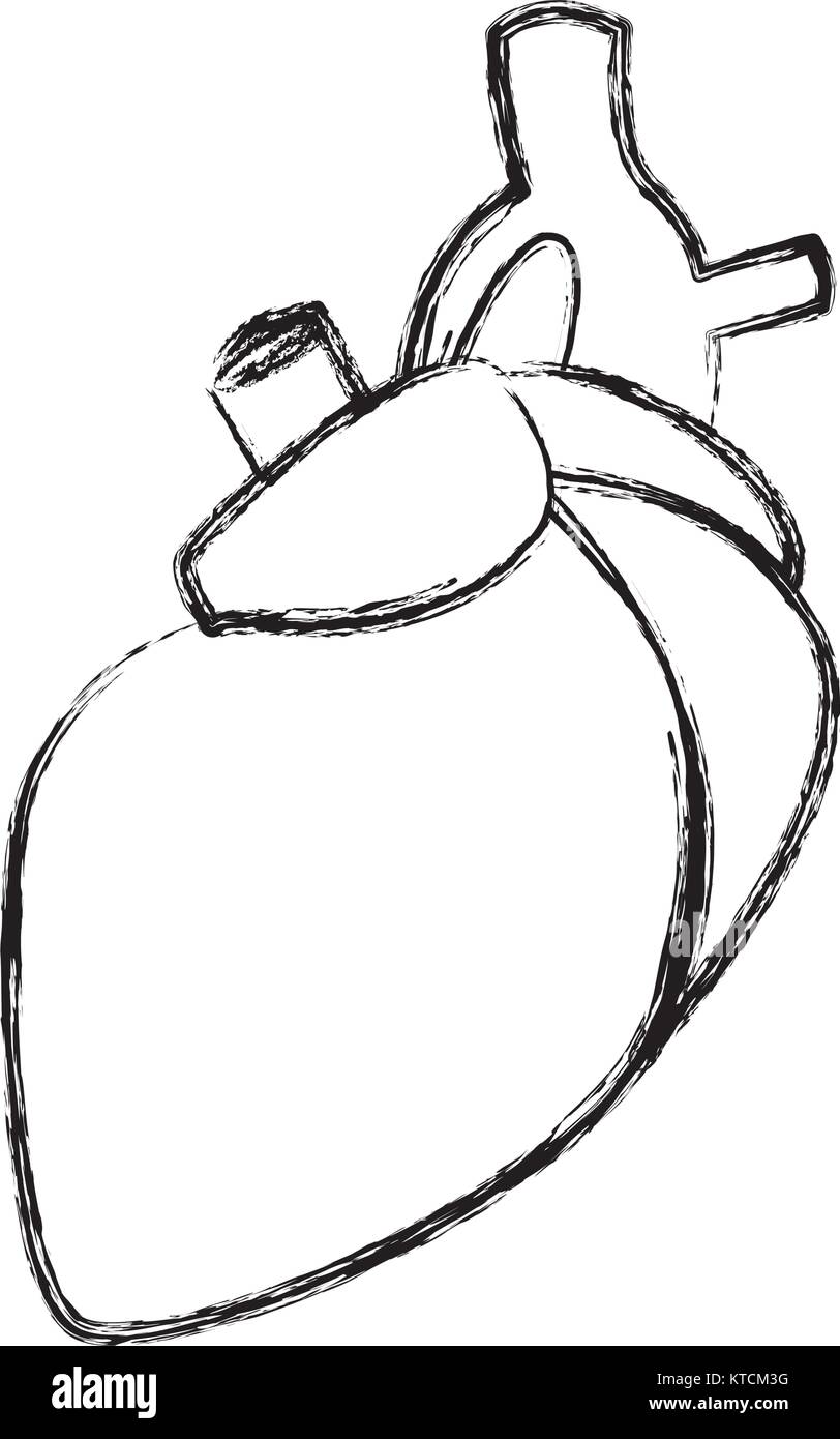 Human heart symbol Stock Vector Image & Art - Alamy