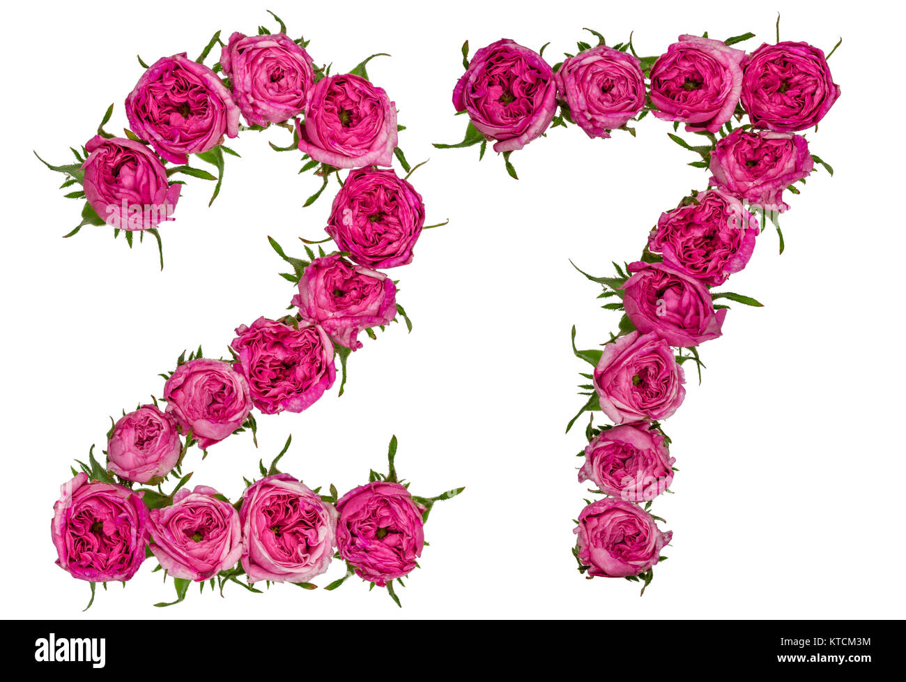 Arabic numeral 27, twenty seven, from red flowers of rose, isolated on ...