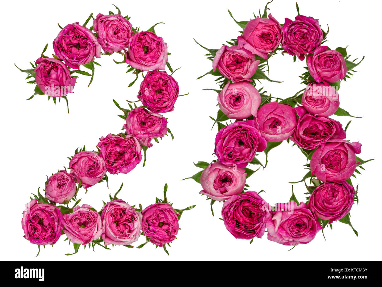 Arabic numeral 28, twenty eight, from red flowers of rose, isolated on ...