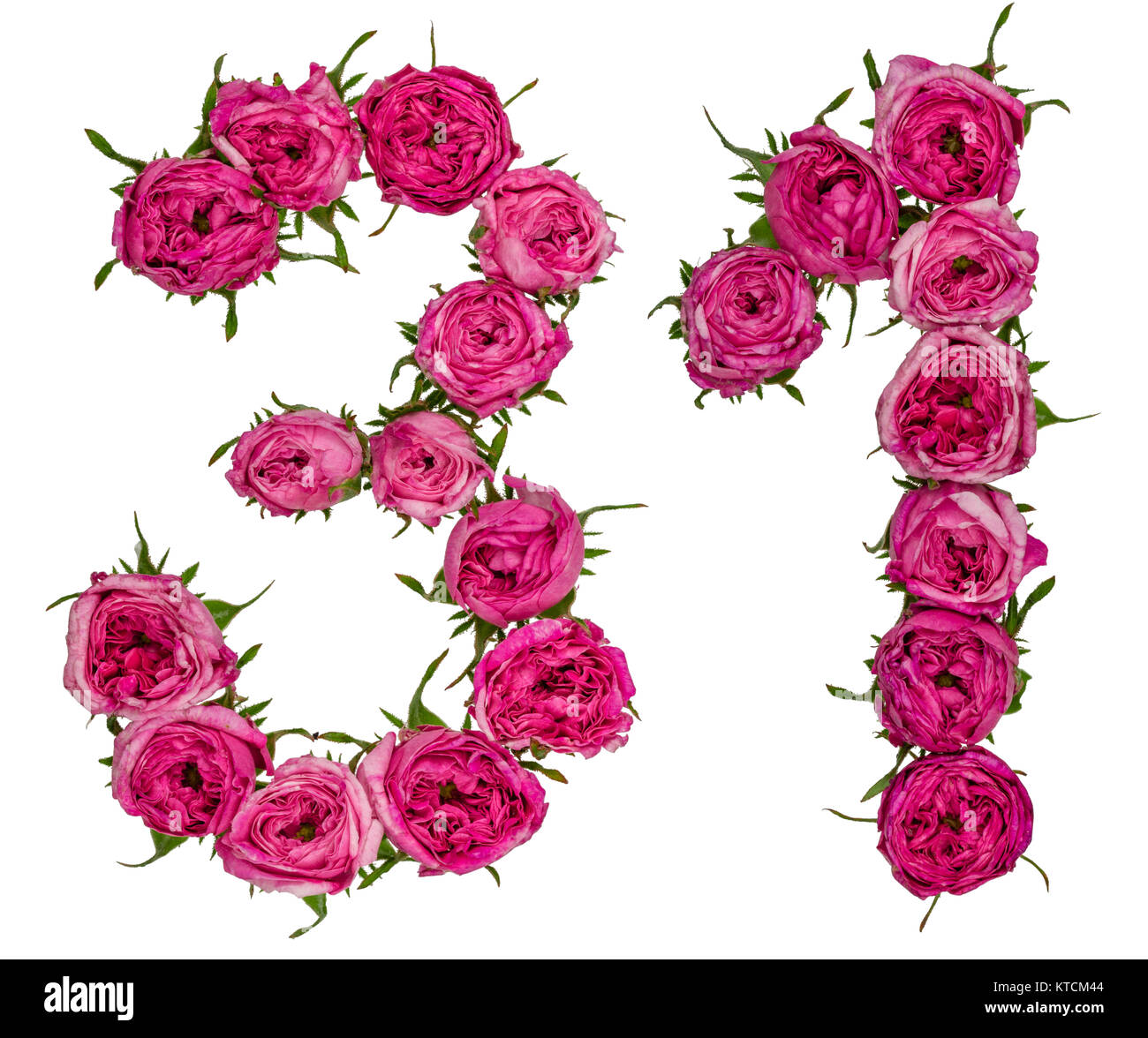 Arabic numeral 31, thirty one, from red flowers of rose, isolated on ...