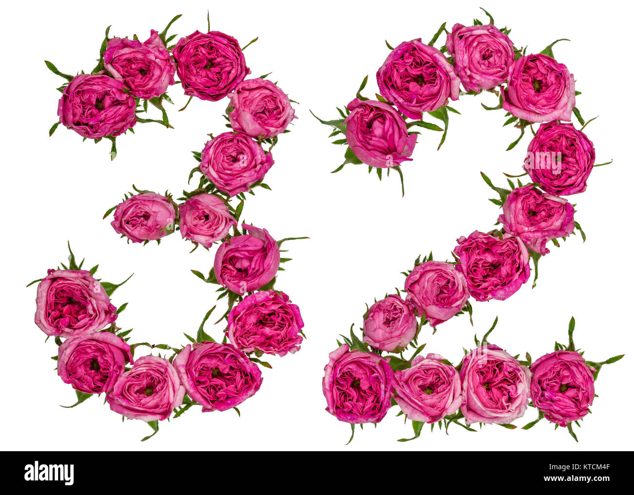Arabic numeral 32, thirty two, from red flowers of rose, isolated on ...