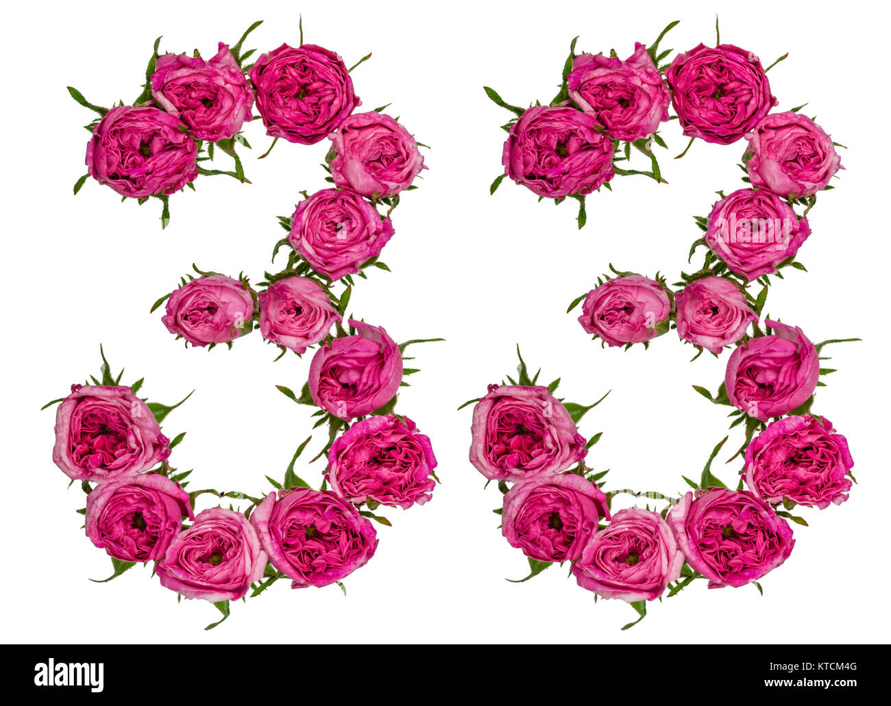 Arabic numeral 33, thirty three, from red flowers of rose, isolated on ...