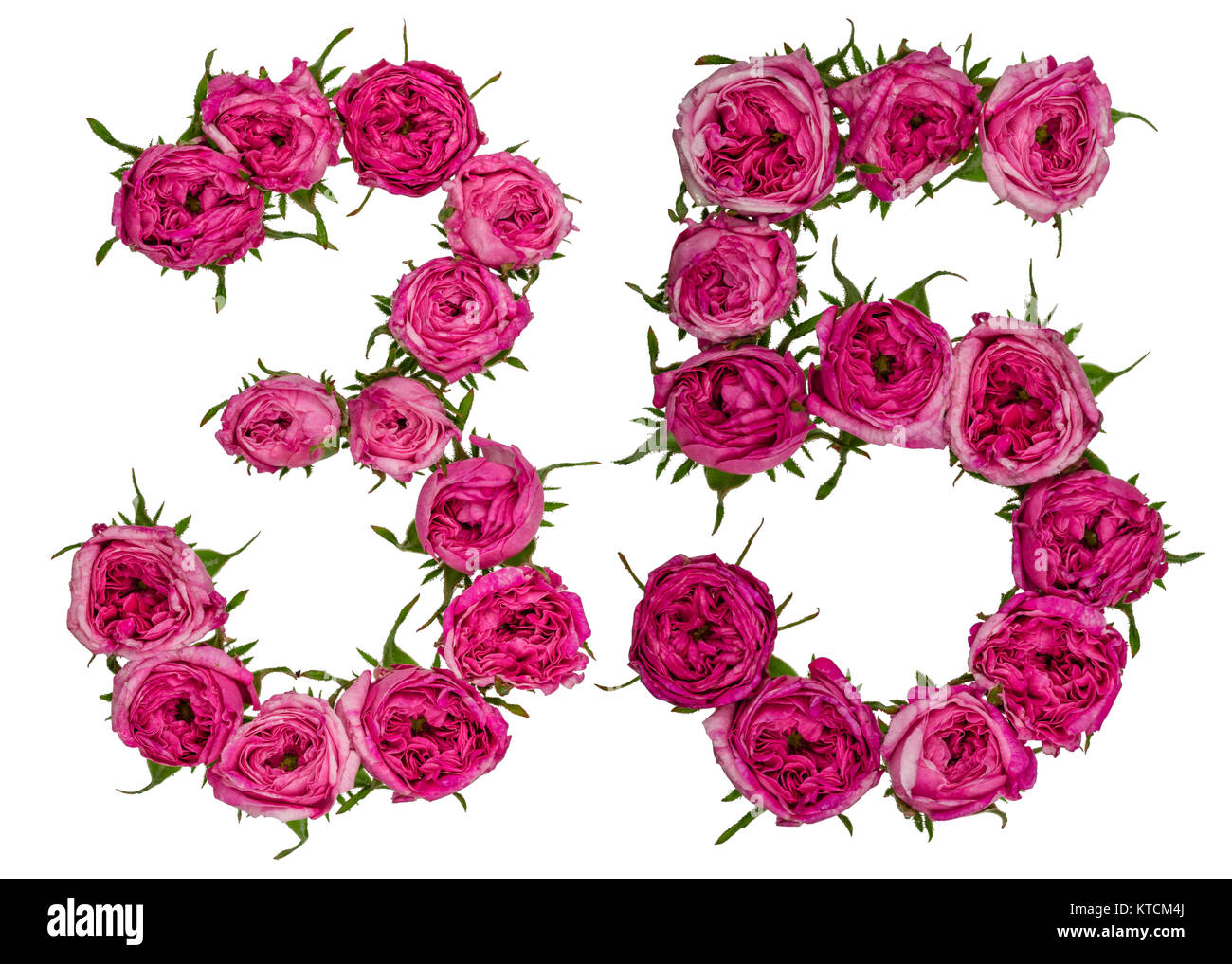 Arabic numeral 35, thirty five, from red flowers of rose, isolated on ...