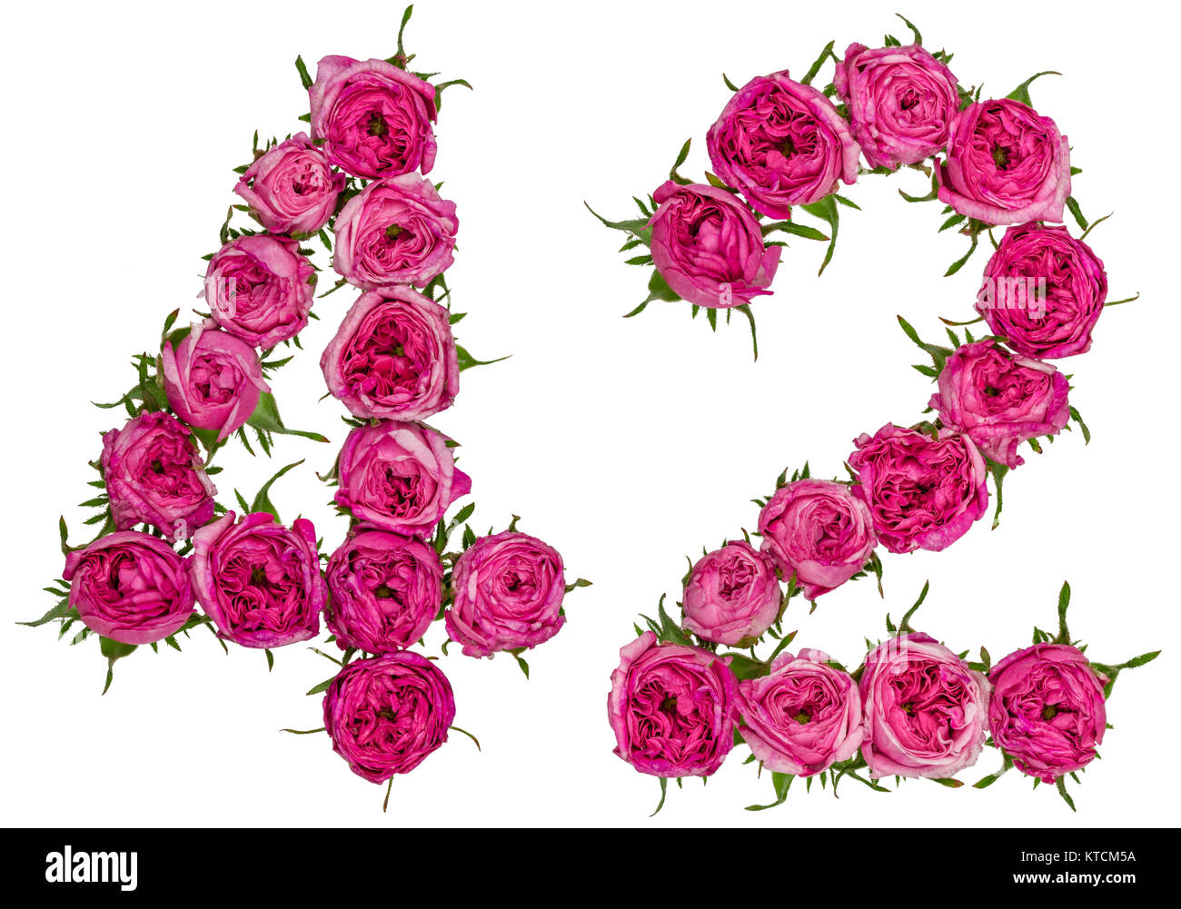 Arabic numeral 42, forty two, from red flowers of rose, isolated on ...