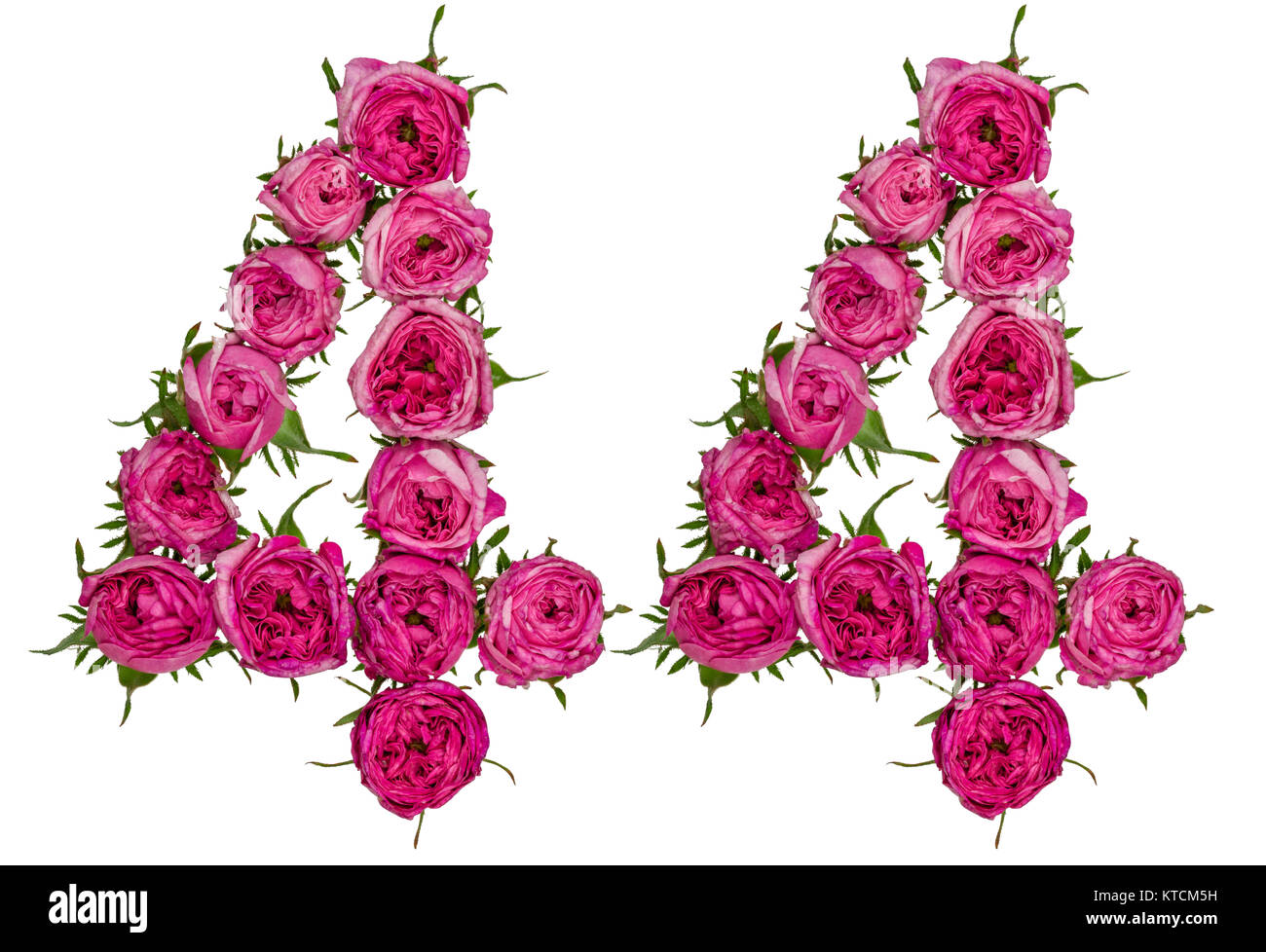 Arabic numeral 44, forty four, from red flowers of rose, isolated on ...