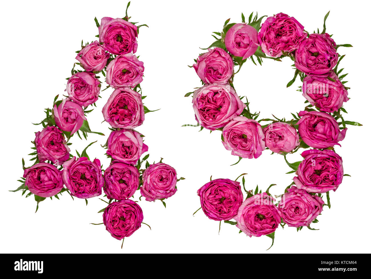 Arabic numeral 49, forty nine, from red flowers of rose, isolated on ...