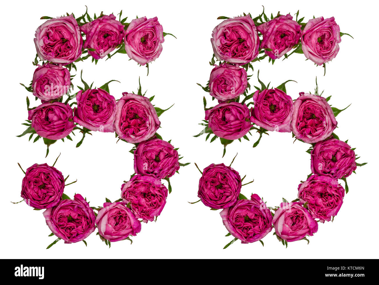 Arabic numeral 55, fifty five, from red flowers of rose, isolated on ...