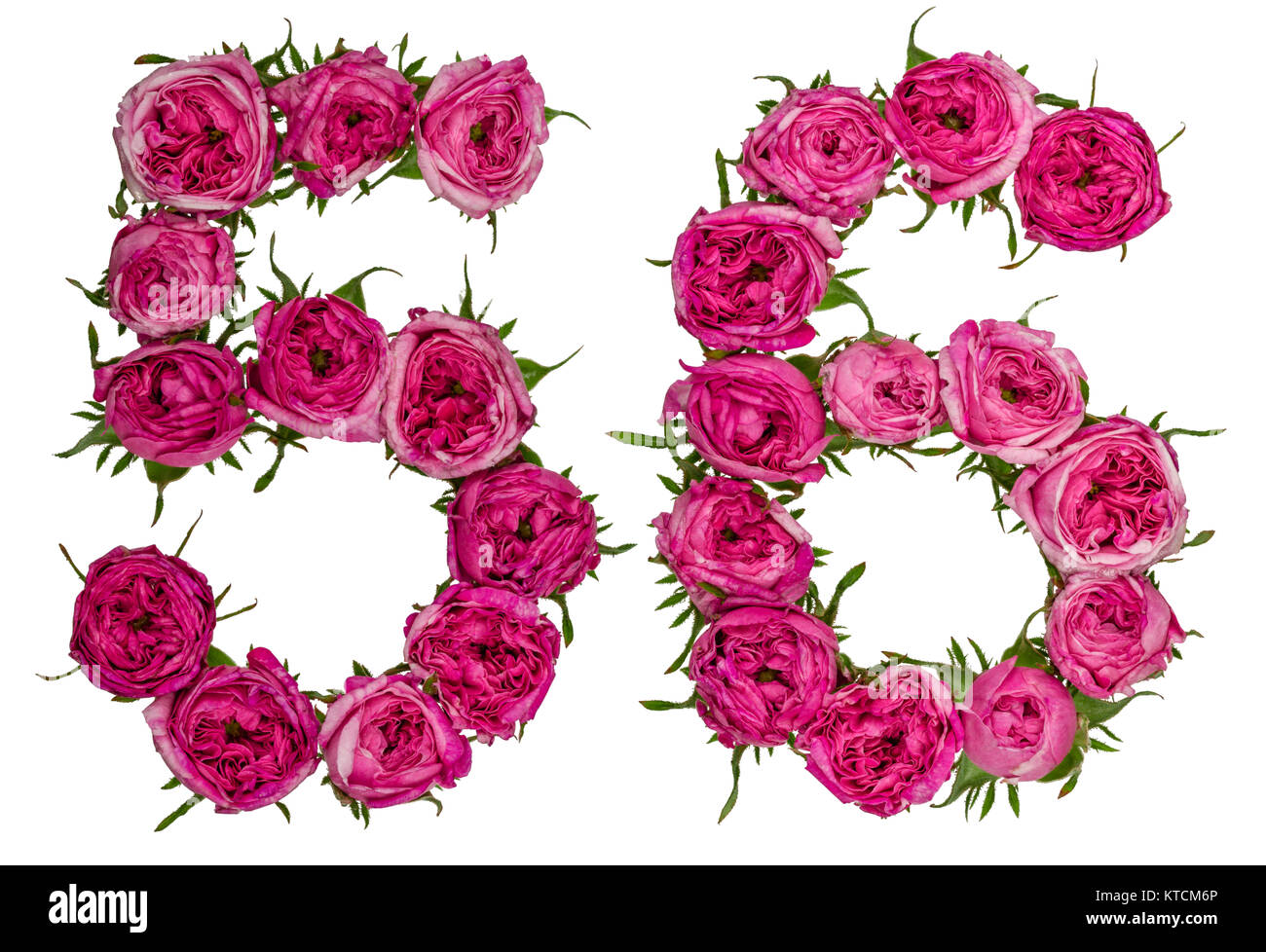 Arabic numeral 56, fifty six, from red flowers of rose, isolated on ...