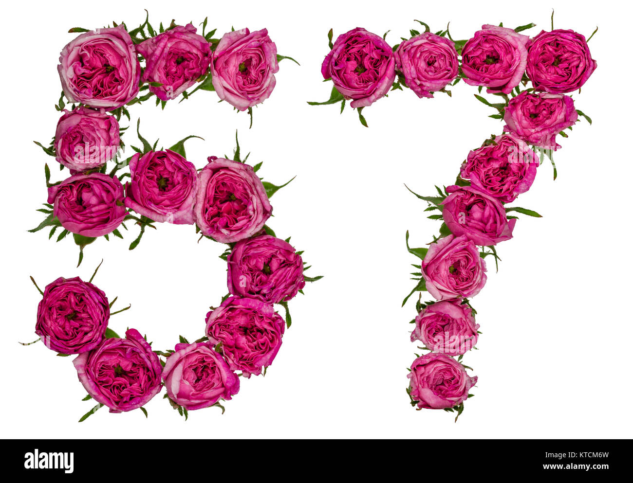 Arabic numeral 57, fifty seven, from red flowers of rose, isolated on ...