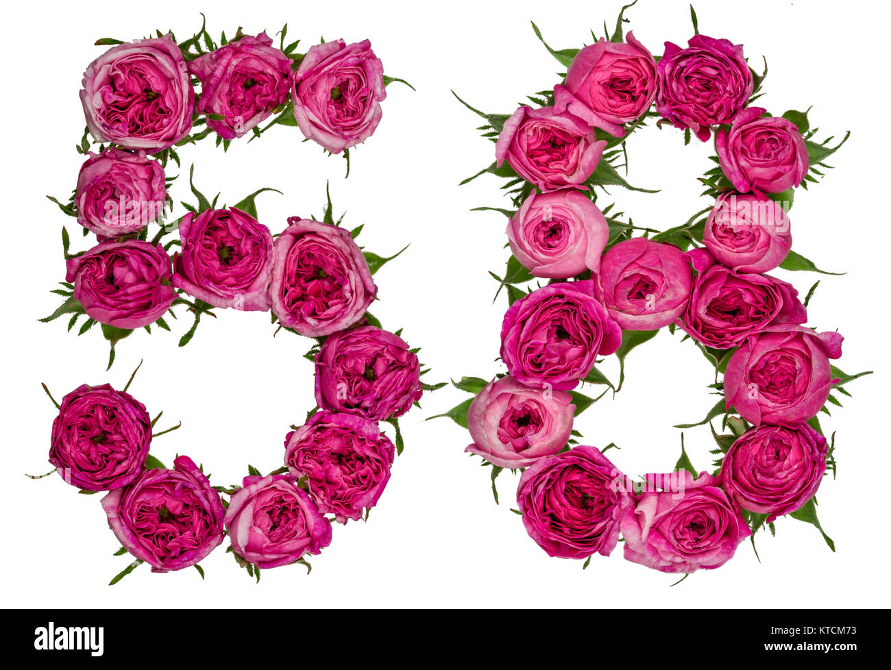 Arabic numeral 58, fifty eight, from red flowers of rose, isolated on ...