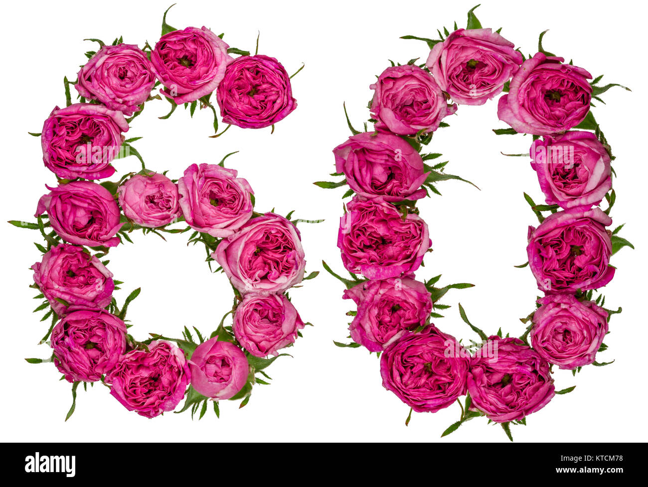 Arabic numeral 60, sixty, from red flowers of rose, isolated on white ...